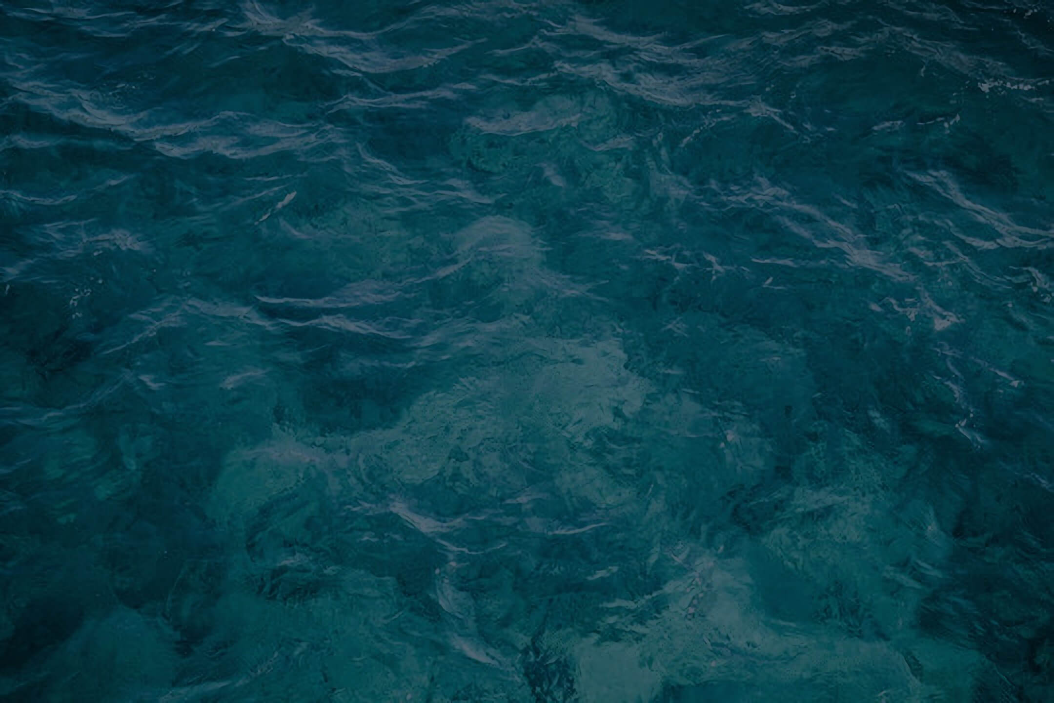 Chronic Conditions Suite - New Ocean